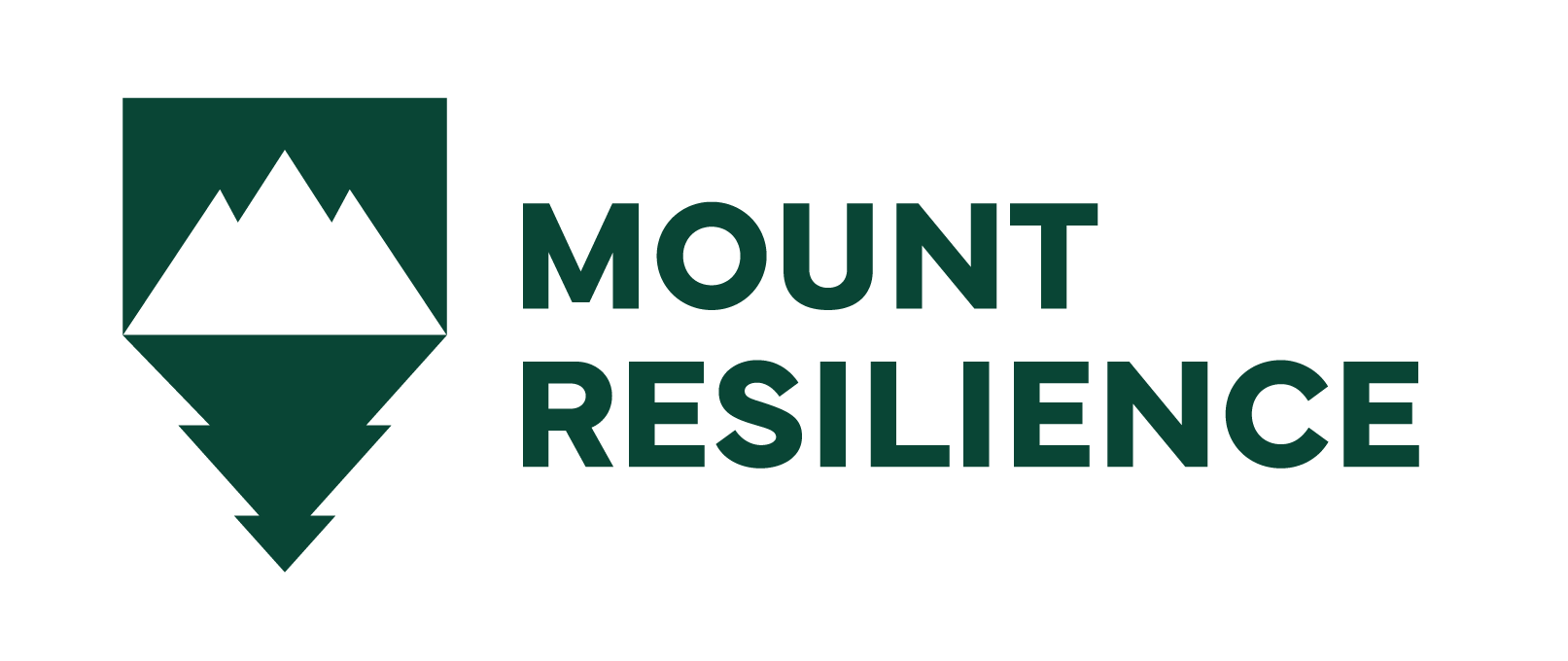 MountResilience | REVOLVE